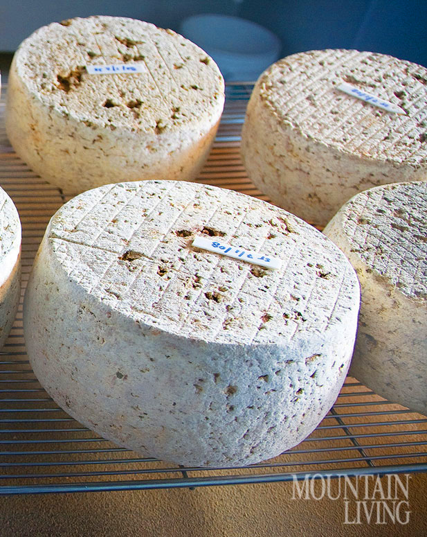 Divine cheese and a farm stay at The Gite | Monteillet Fromagerie
